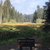 Crescent Meadow Loop, California - 514 Reviews, Map | AllTrails