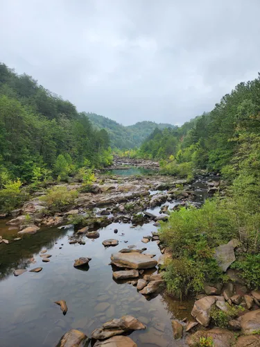 Best Hikes and Trails in Big Frog Wilderness | AllTrails