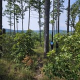 Horse Thief Spring and Ouachita Loop, Oklahoma - 188 Reviews, Map ...
