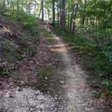 Shawnee State Park North Loop, Ohio - 204 Reviews, Map | AllTrails