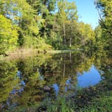 Crane Lake Trail, Missouri - 138 Reviews, Map | AllTrails