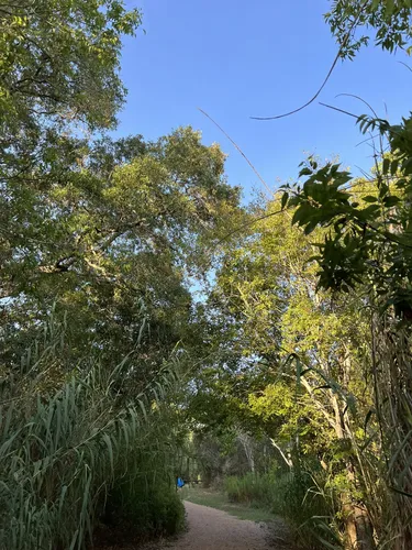 Best Hikes and Trails in Hester Garden Park | AllTrails