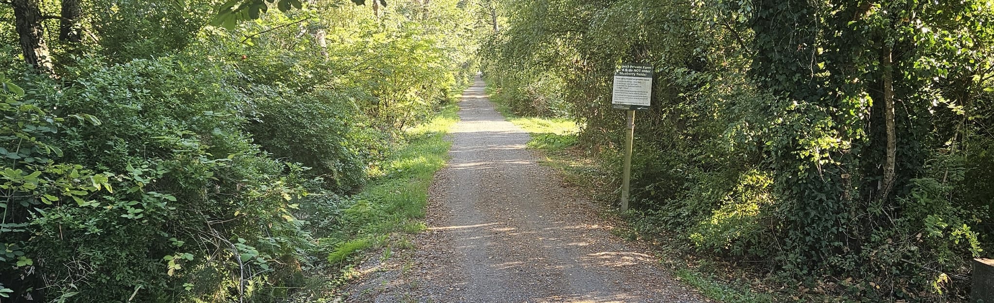 Shell Road Trail , British Columbia, Canada - 106 Reviews, Map | AllTrails