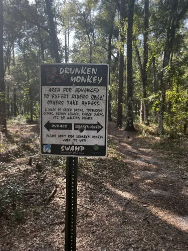 Best Hikes and Trails in Croom Wildlife Management Area | AllTrails