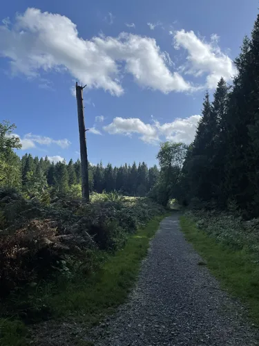 10 Best Trails, Walks, and Paths in Wells | AllTrails