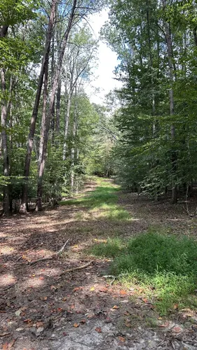 Best Hikes and Trails in Bull Run Regional Park | AllTrails