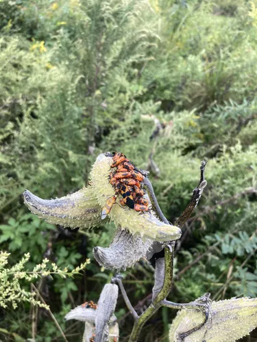 Best Hikes and Trails in Benjamin Rush State Park | AllTrails