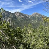 Tibble Fork Loop Trail, Utah - 719 Reviews, Map | AllTrails
