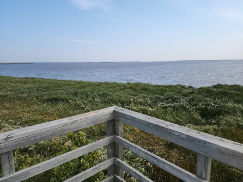 Best Hikes and Trails in Delta Marsh Wildlife Management Area | AllTrails