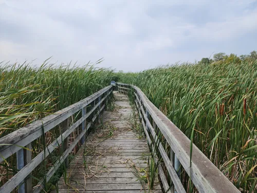 Best Hikes and Trails in Delta Marsh Wildlife Management Area | AllTrails