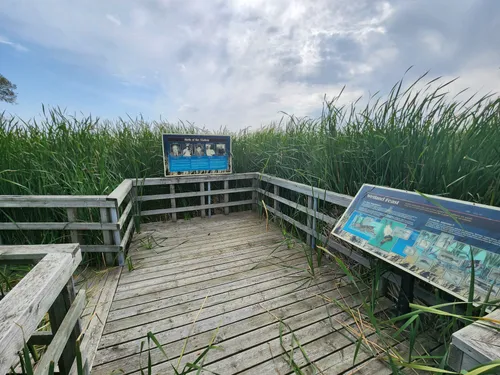 Best Hikes and Trails in Delta Marsh Wildlife Management Area | AllTrails