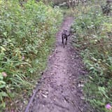 Outwood Country Park Circular, Greater Manchester, England - 24 Reviews ...