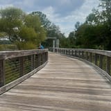 Neabsco Creek Boardwalk, Virginia - 931 Reviews, Map | AllTrails