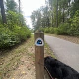 Neabsco Creek Boardwalk, Virginia - 919 Reviews, Map | AllTrails