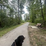 Neabsco Creek Boardwalk, Virginia - 902 Reviews, Map | AllTrails