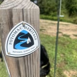 Neabsco Creek Boardwalk, Virginia - 931 Reviews, Map | AllTrails
