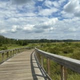 Neabsco Creek Boardwalk, Virginia - 931 Reviews, Map | AllTrails