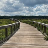 Neabsco Creek Boardwalk, Virginia - 931 Reviews, Map | AllTrails
