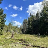 Goodnow Mountain Trail, New York - 1,209 Reviews, Map | AllTrails