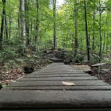 Goodnow Mountain Trail, New York - 1,209 Reviews, Map | AllTrails