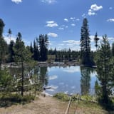 String Lake Trail, Wyoming - 1,955 Reviews, Map | AllTrails