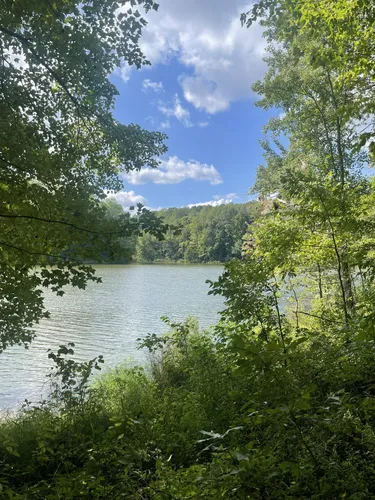 Best Hikes and Trails in Gilbert Run Park | AllTrails