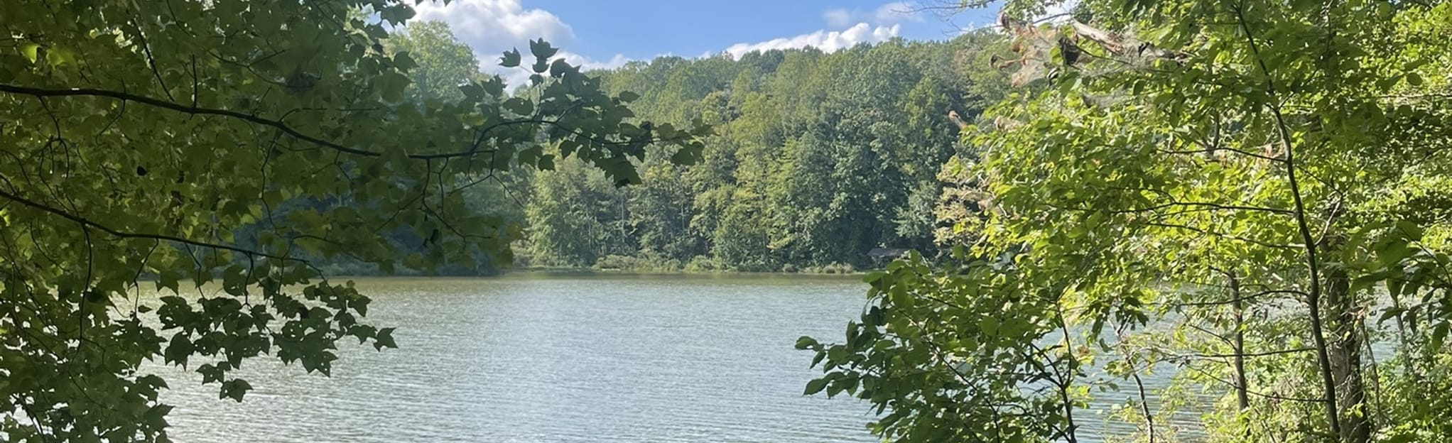 Wheatley Lake : 150 Reviews, Map - Maryland | AllTrails