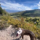 Thomas Lakes Trail, Colorado - 1,392 Reviews, Map | AllTrails