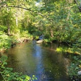 Stepstone Falls via Ben Utter Trail, Rhode Island - 1,492 Reviews, Map ...