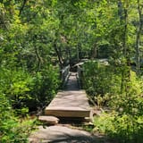 Stepstone Falls via Ben Utter Trail, Rhode Island - 1,539 Reviews, Map ...