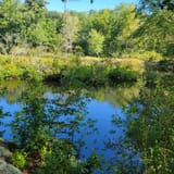 Stepstone Falls via Ben Utter Trail, Rhode Island - 1,539 Reviews, Map ...
