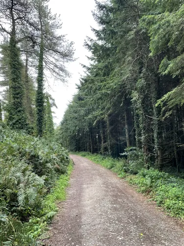 2023 Best Trail Running Trails in Raven Point Nature Reserve | AllTrails