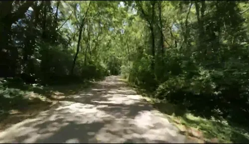 Best Hikes and Trails in Deerwood Arboretum | AllTrails