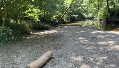 Best Hikes and Trails in Deerwood Arboretum | AllTrails