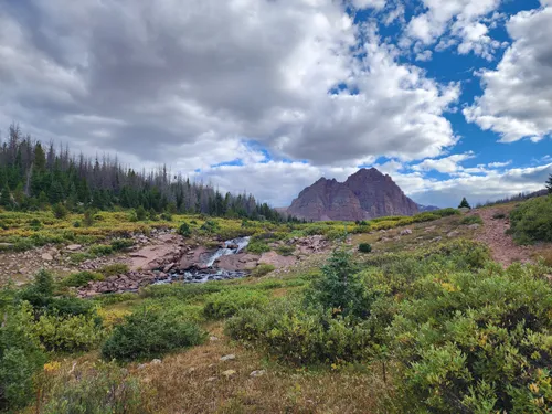 Best Hikes and Trails in Altamont | AllTrails