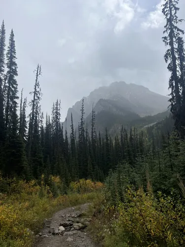 Best Hikes and Trails in Gorman Lake and Trail Recreation Site | AllTrails