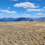 Specimen Ridge Trail, Montana - 61 Reviews, Map | AllTrails