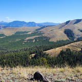 Specimen Ridge Trail, Montana - 61 Reviews, Map | AllTrails