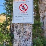 Specimen Ridge Trail, Montana - 61 Reviews, Map | AllTrails