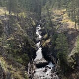 Chief Joseph Mountain Trail, Oregon - 411 Reviews, Map | AllTrails