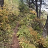 Chief Joseph Mountain Trail, Oregon - 295 Reviews, Map | AllTrails