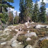 Becker Peak Trail, California - 125 Reviews, Map | AllTrails