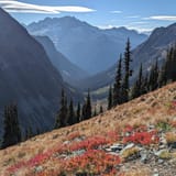 Easy Pass Trail, Washington - 461 Reviews, Map | AllTrails