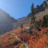 Easy Pass Trail, Washington - 461 Reviews, Map | AllTrails