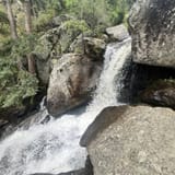 Thomas Trail Loop, Colorado - 997 Reviews, Map | AllTrails