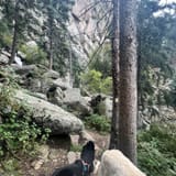 Thomas Trail Loop, Colorado - 1,002 Reviews, Map | AllTrails