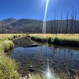 Cascade Falls, Colorado - 1,516 Reviews, Map | AllTrails