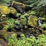 Watson Falls, Oregon - 998 Reviews, Map | AllTrails