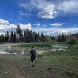Red Lake Trail, Utah - 293 Reviews, Map | AllTrails