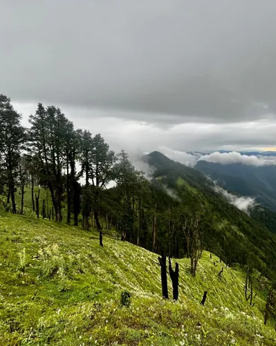 Best Hikes and Trails in Mussoorie | AllTrails